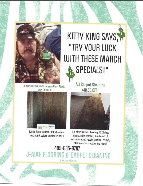 About the Kitty King | Oklahoma City, OK Carpet Cleaning