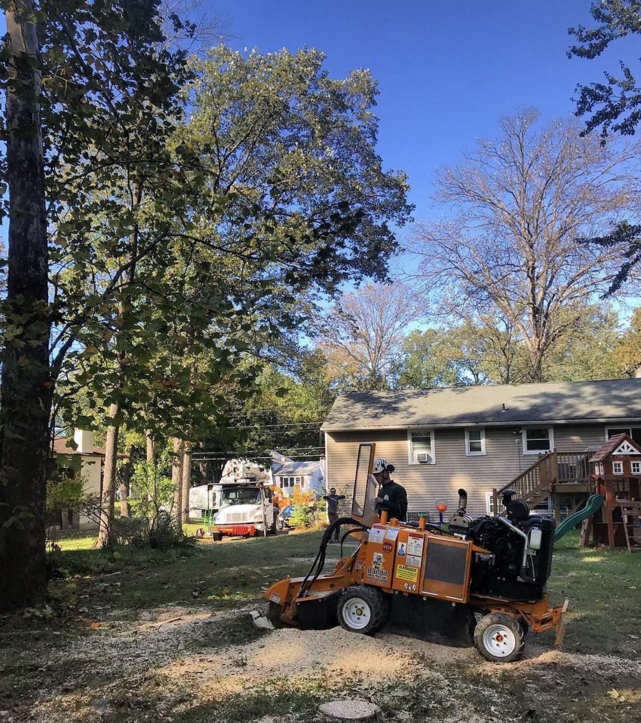 Alpine Tree Service Inc | Tree Care | Hopewell Junction, NY