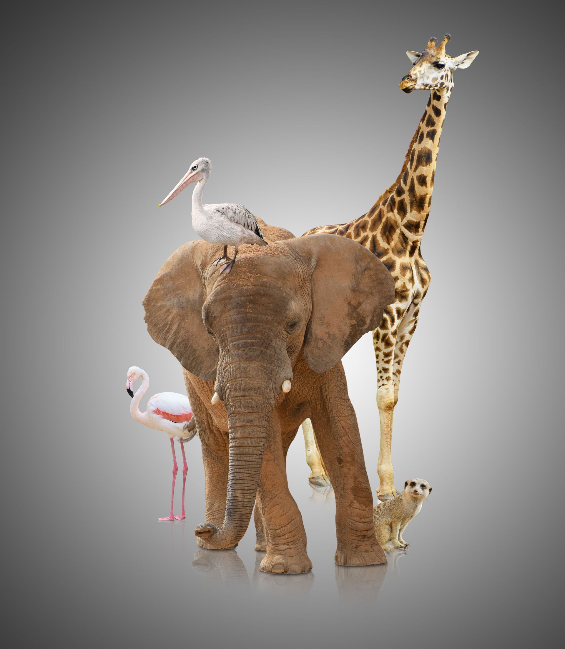 Kula Children's Center | Child Care | Allentown, PA