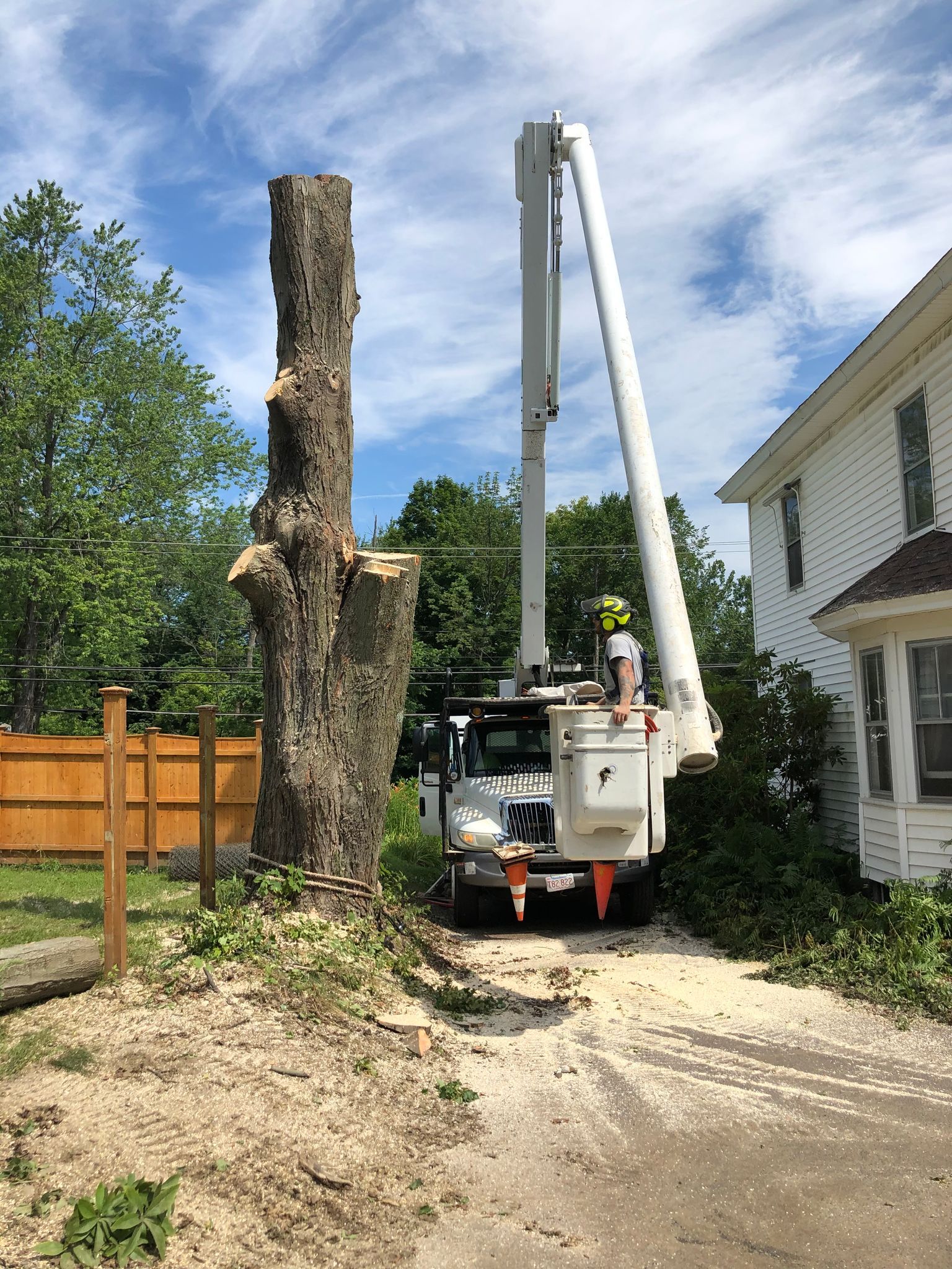 Gallery | Kelley Brothers Tree Service | Pittsfield, MA