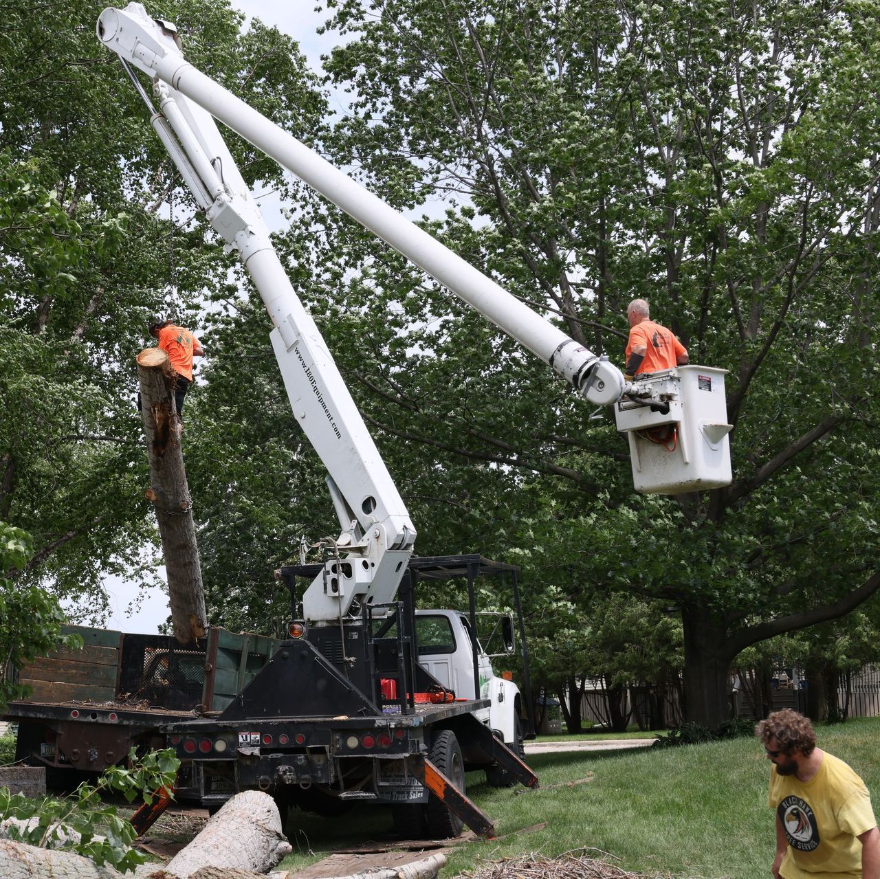 Gallery | Randy Flodeen Four Seasons Tree Service