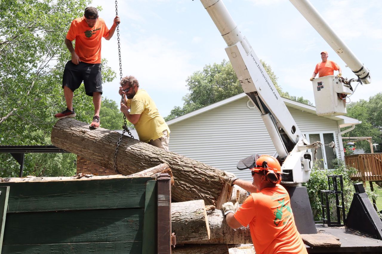Gallery | Randy Flodeen Four Seasons Tree Service