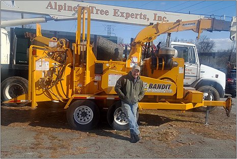 About Alpine Tree Experts Inc | Baldwin, MD Stumps
