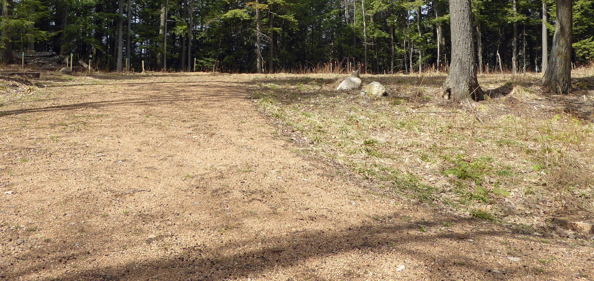 Alpine Tree Experts Inc | Tree Services | Baldwin, MD