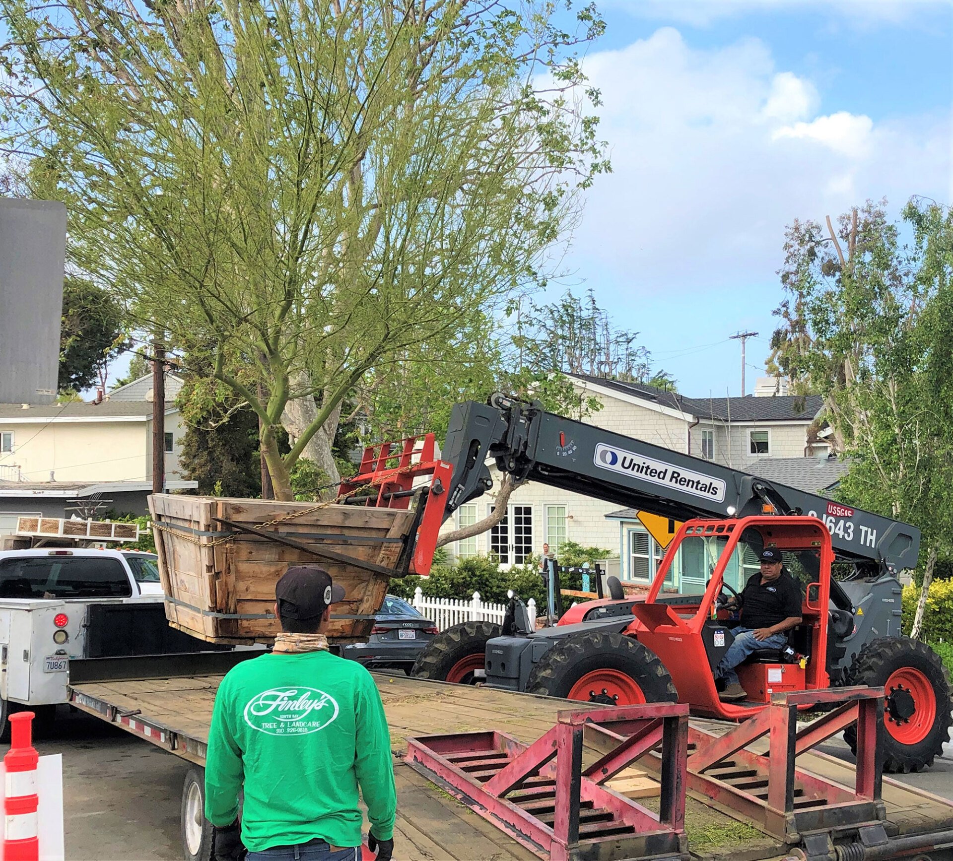 Finley's Tree & Landcare Inc Photo Gallery | Torrance, CA