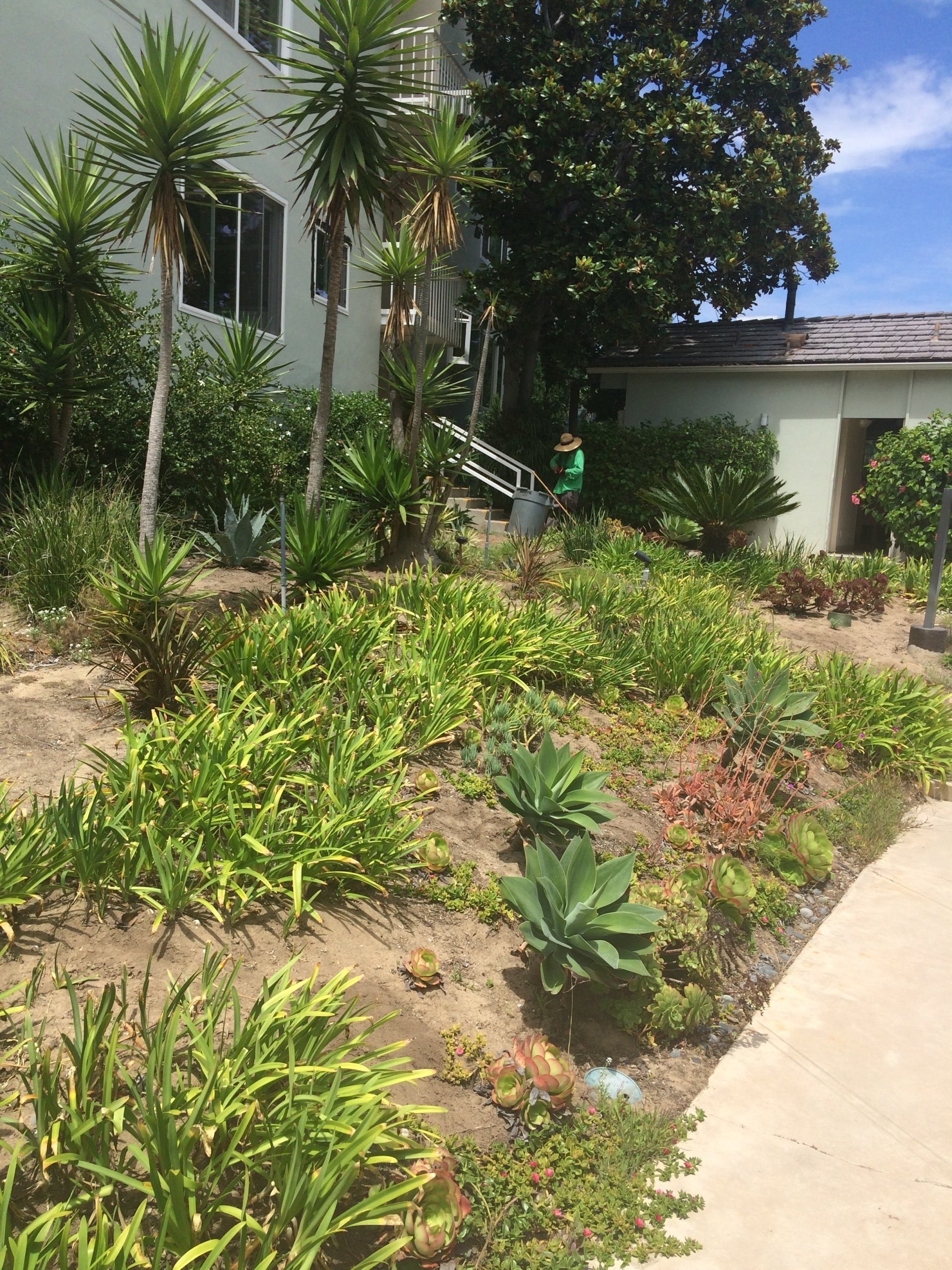 Finley's Tree & Landcare Inc Photo Gallery | Torrance, CA