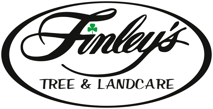 Finley's Tree & Landcare Inc | Torrance, CA Landscapers