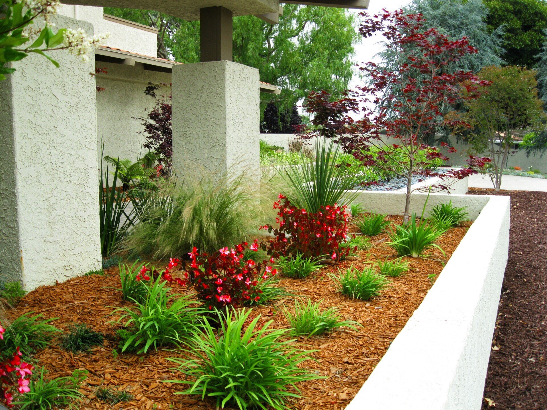 Finley's Tree & Landcare Inc Photo Gallery | Torrance, CA