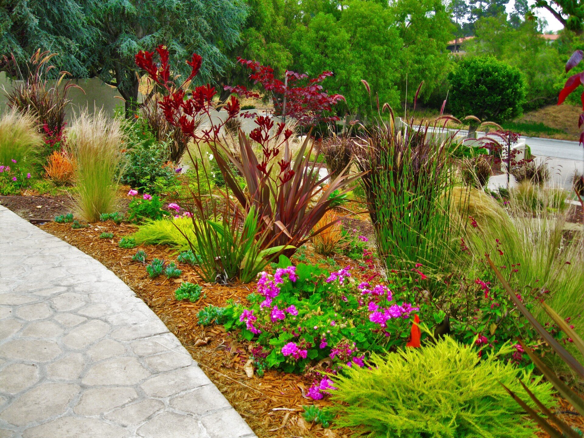 Finley's Tree & Landcare Inc Photo Gallery | Torrance, CA