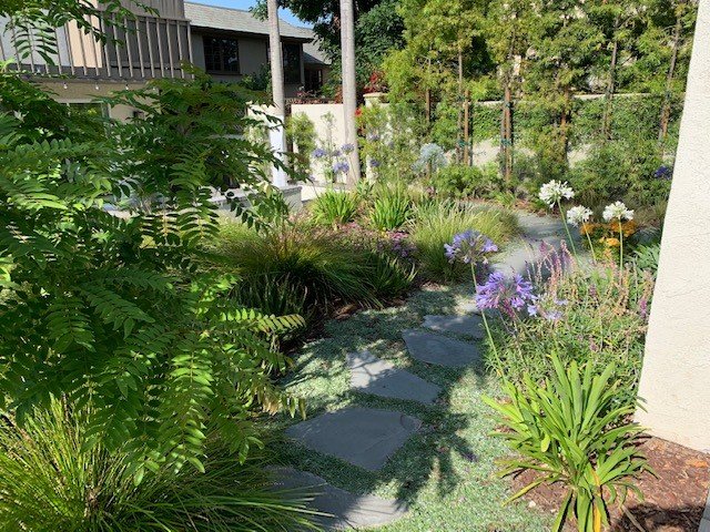 Finley's Tree & Landcare Inc Photo Gallery | Torrance, CA