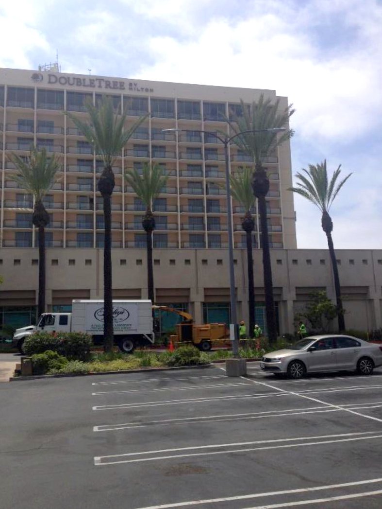 Finley's Tree & Landcare Inc Photo Gallery | Torrance, CA
