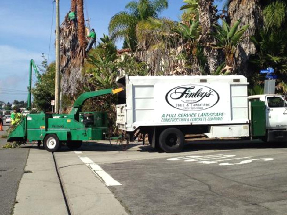 Finley's Tree & Landcare Inc Photo Gallery | Torrance, CA