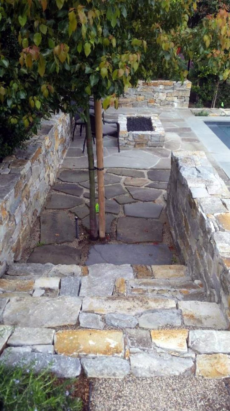 Finley's Tree & Landcare Inc Photo Gallery | Torrance, CA