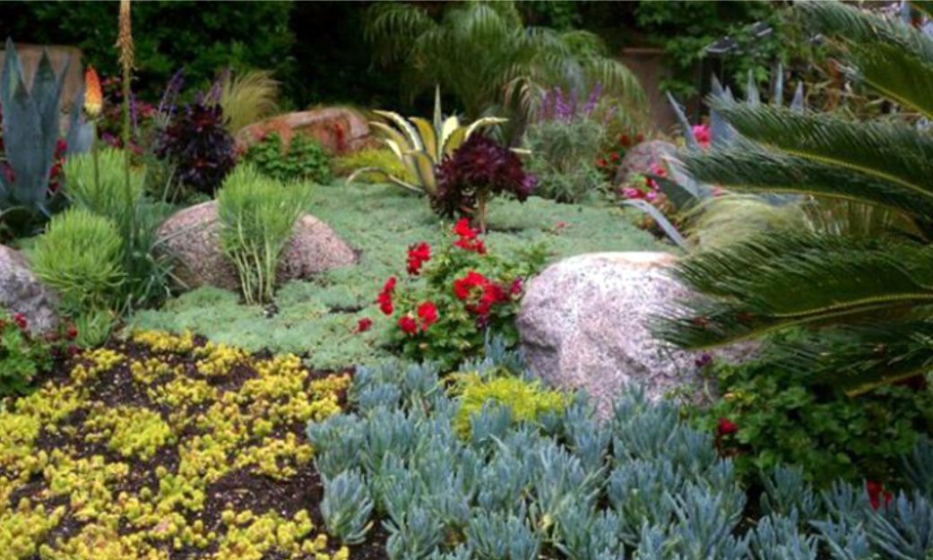 Finley's Tree & Landcare Inc Photo Gallery | Torrance, CA