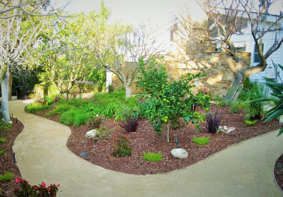 Finley's Tree & Landcare Inc Photo Gallery | Torrance, CA