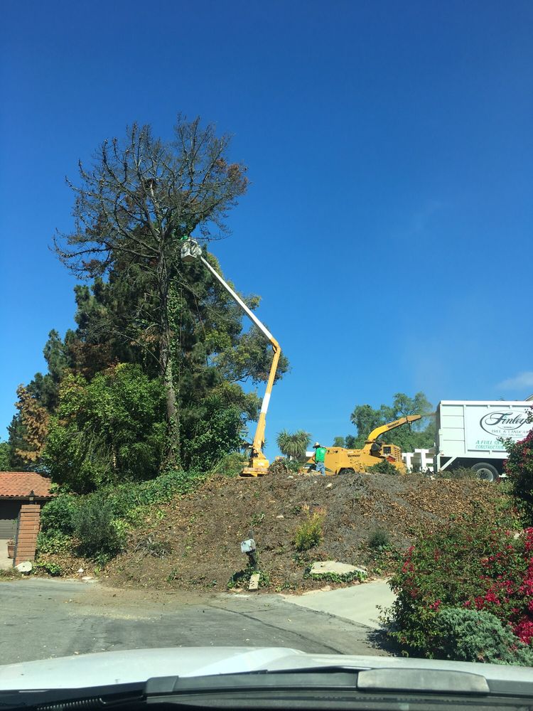 Finley's Tree & Landcare Inc Photo Gallery | Torrance, CA