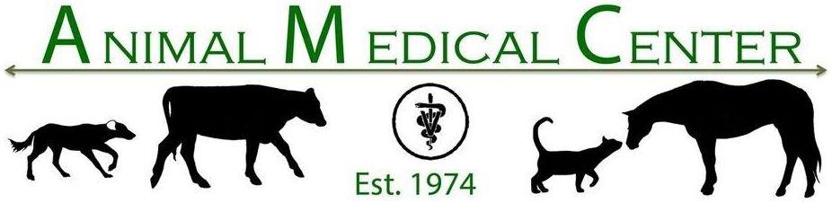 Meet Our Vets | Animal Medical Center