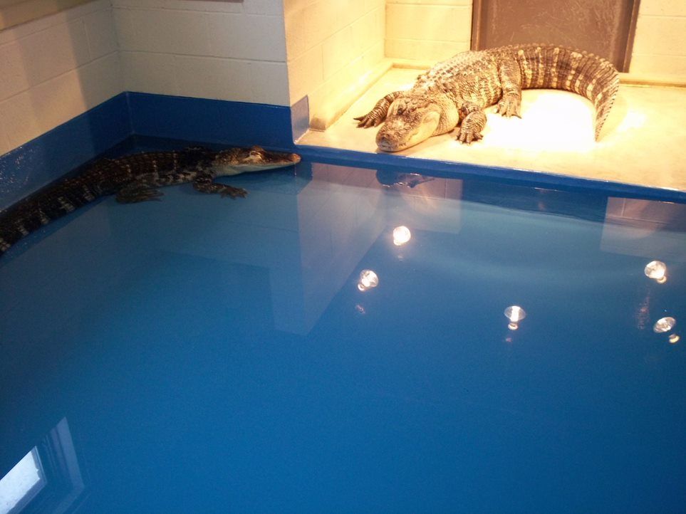 Hermetic Neat System | Elite Crete Systems Florida