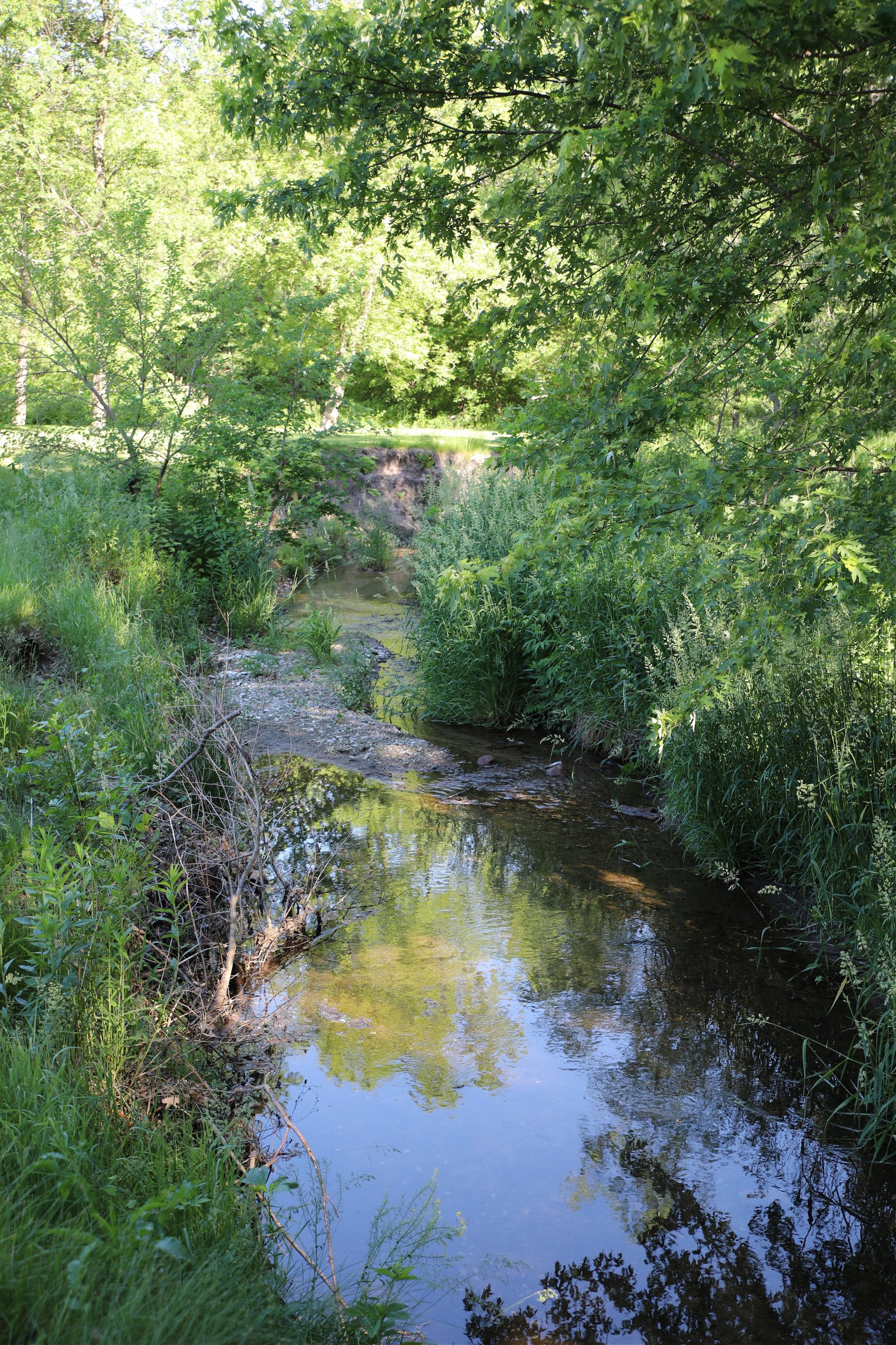 Morwood Campground & Resort Photo Gallery | Hazleton, IA