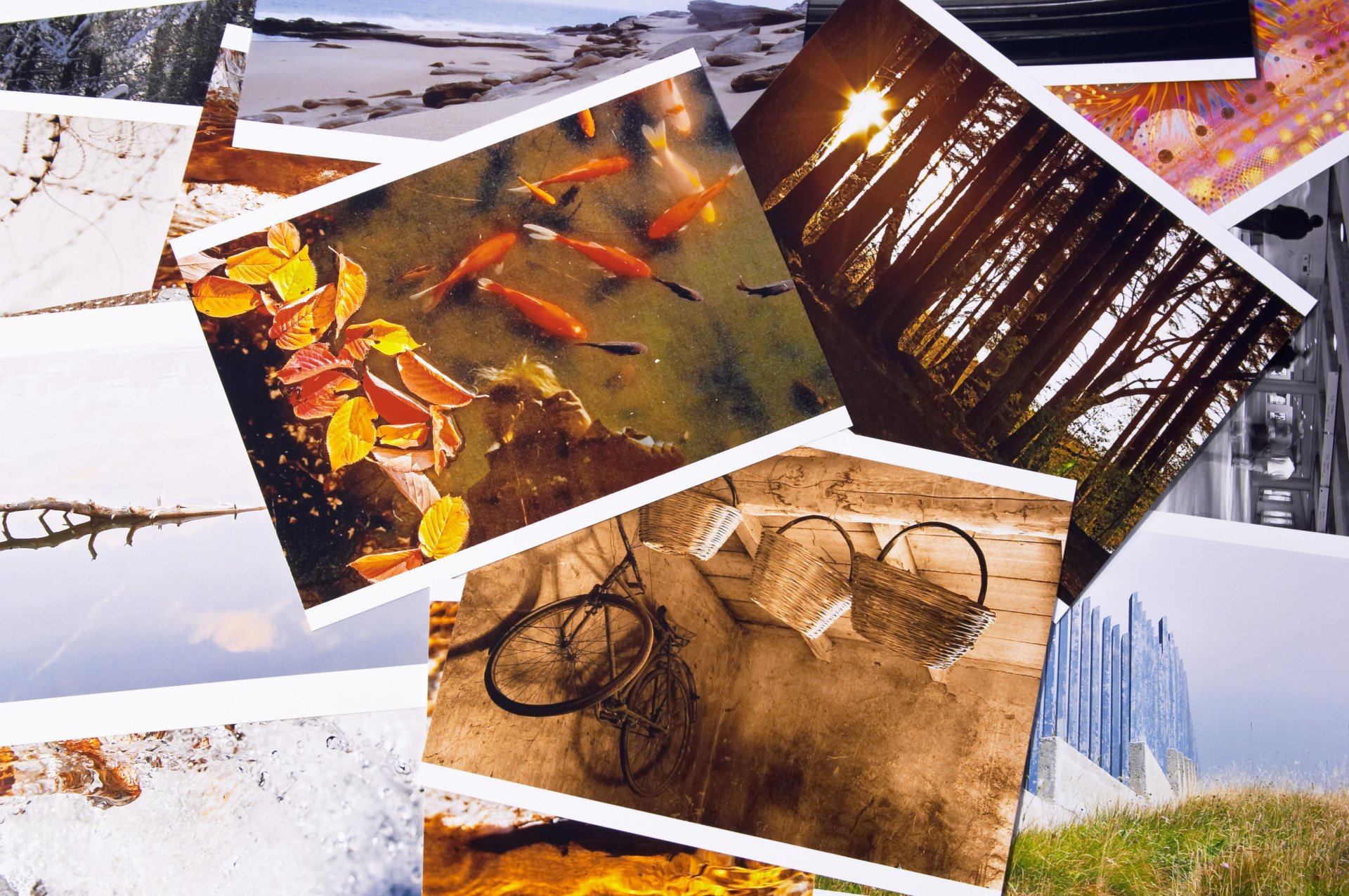 Photo Printing | Photo Magic | Perham, MN