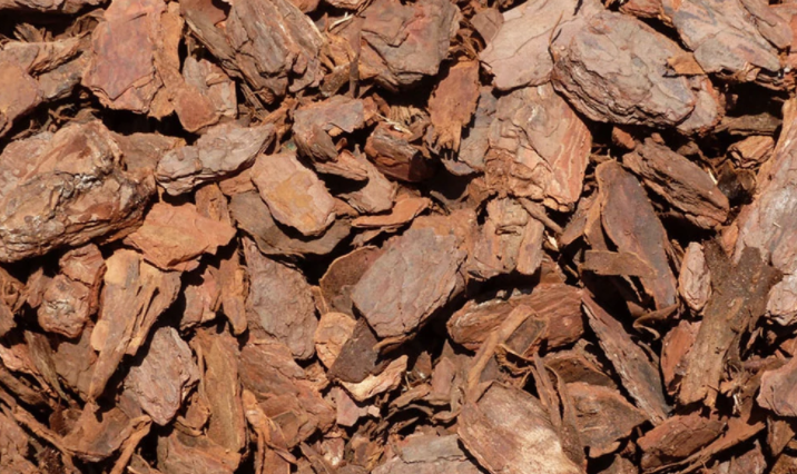 Compost | Fertilizers | Soil | Pine Bark | Black Kow |Fort Myers, FL