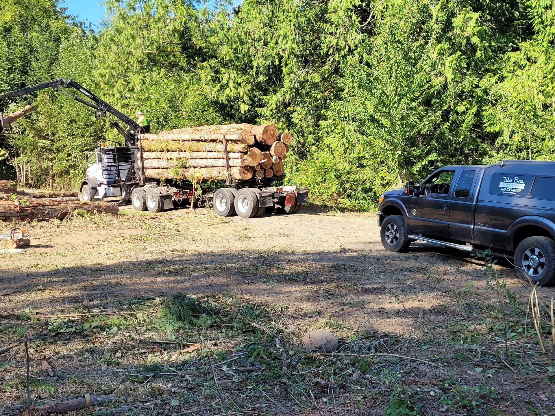 Tobin Bros | Logging Services | Shelton, WA