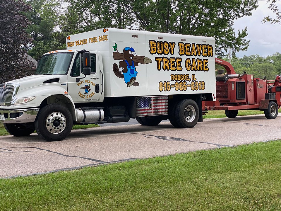 Busy Beaver Tree Care | Tree and Stump Removal | Roscoe, IL