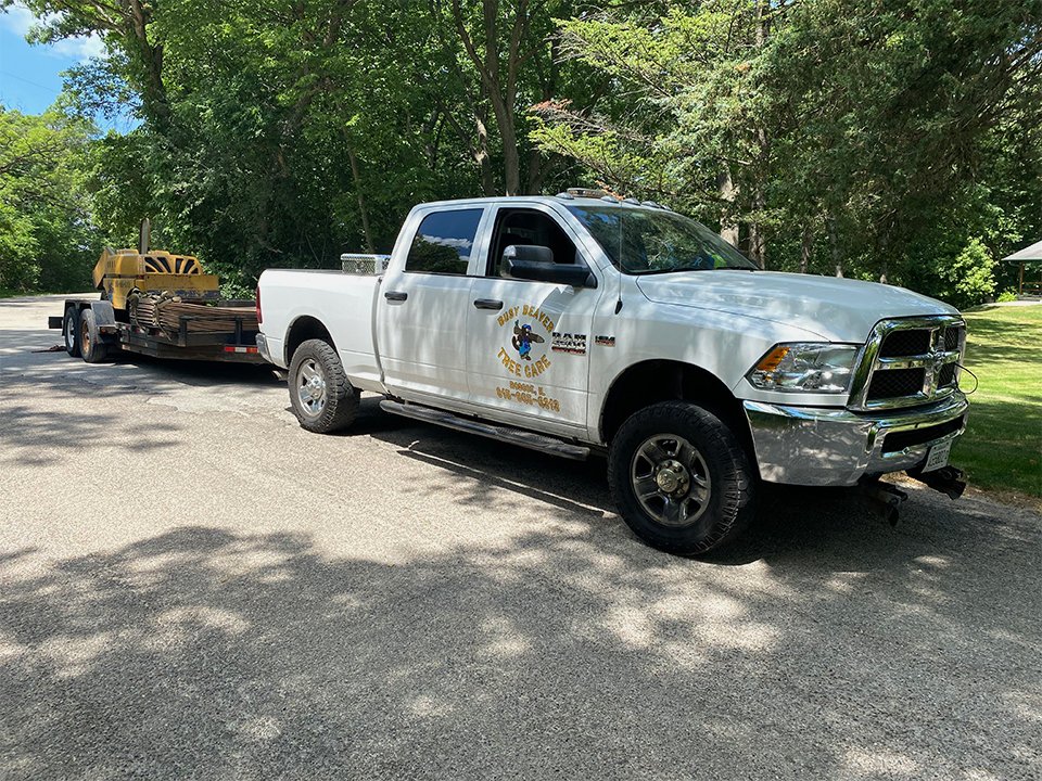 Busy Beaver Tree Care | Tree and Stump Removal | Roscoe, IL