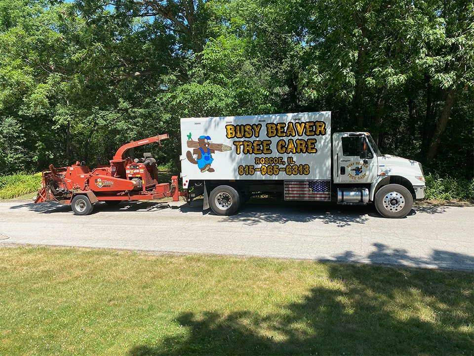 Busy Beaver Tree Care | Tree and Stump Removal | Roscoe, IL