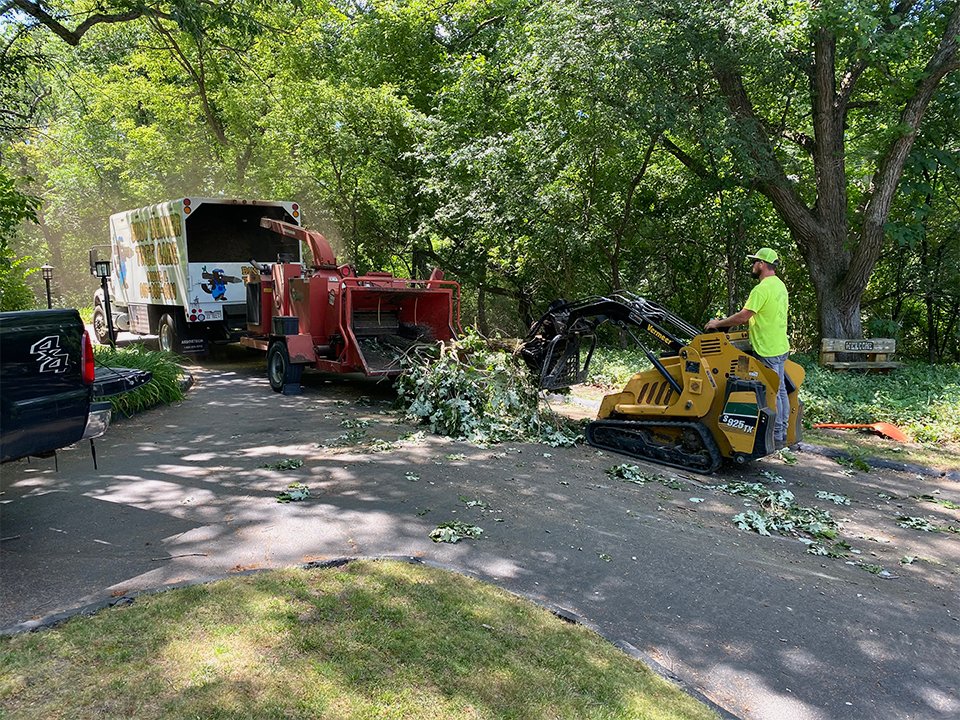 Busy Beaver Tree Care | Tree and Stump Removal | Roscoe, IL