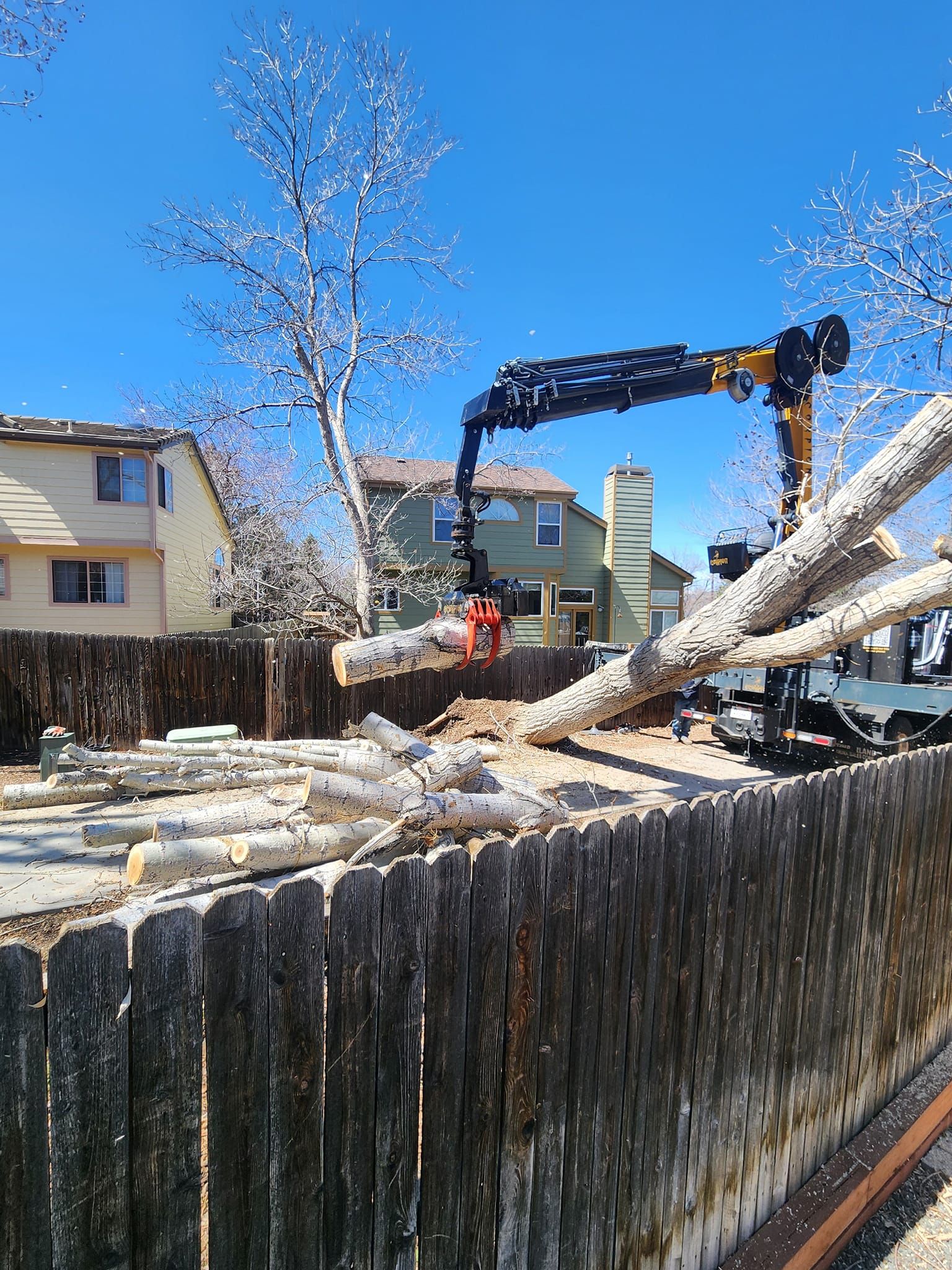 Tree Removal Companies Lakewood | Limb Walkers Tree Service