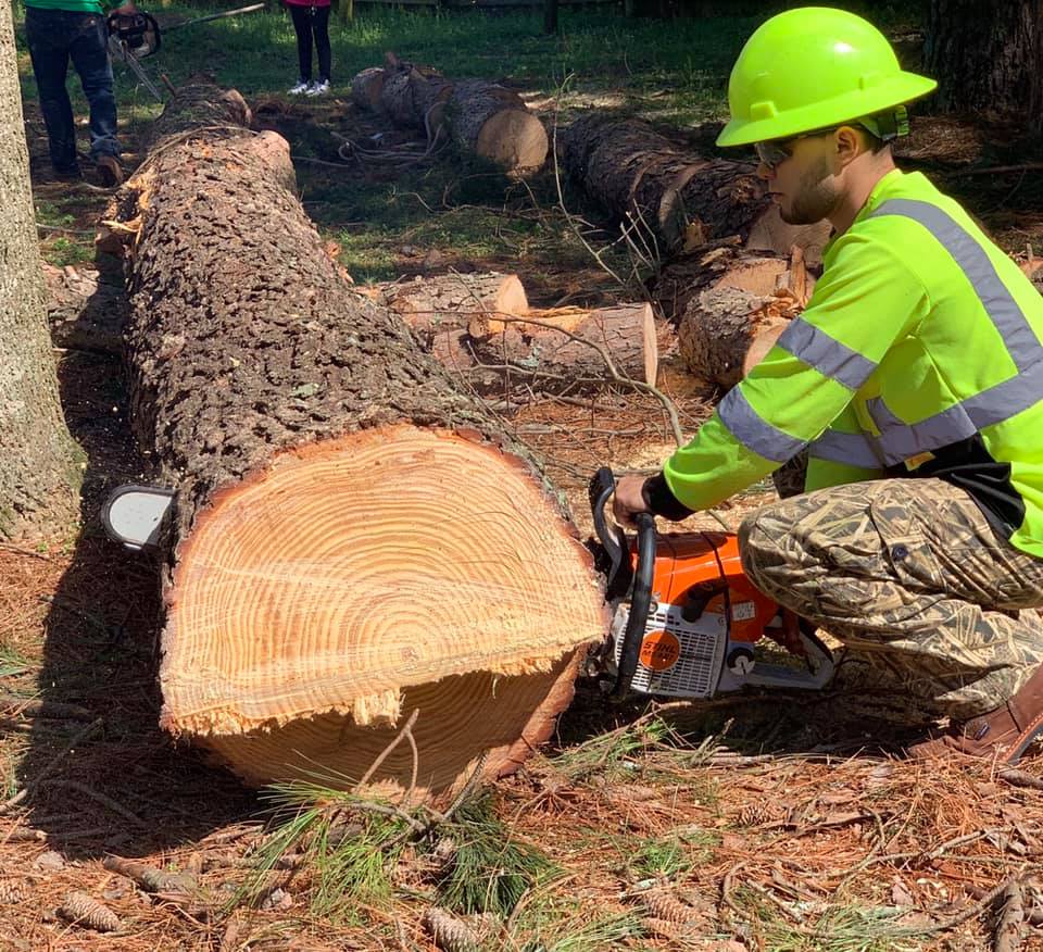 Tree Removal Huntsville, AL | J&C Tree Experts