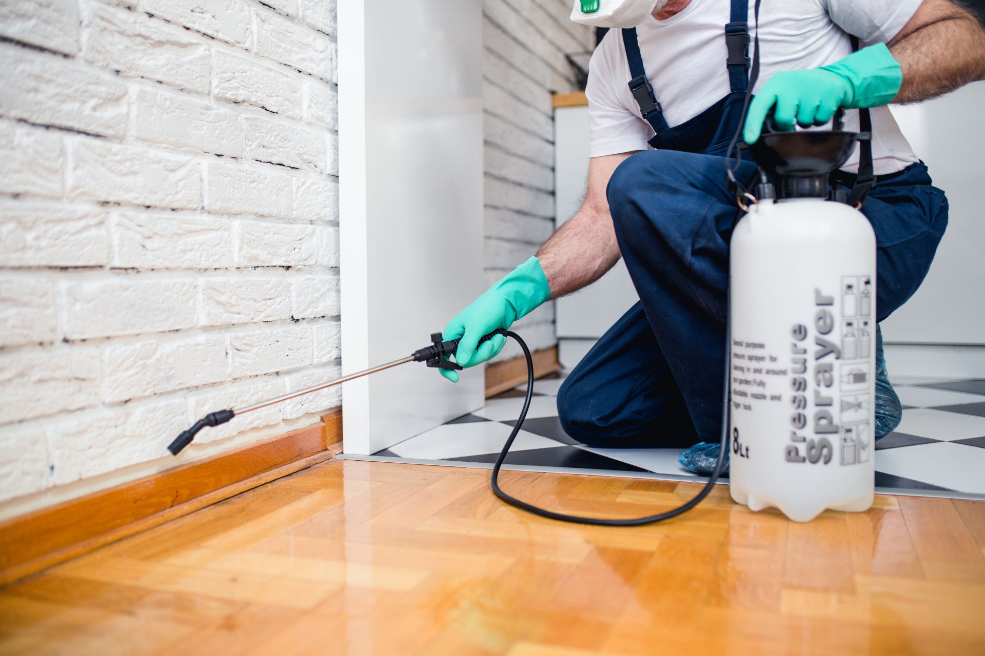 Premier Pest Services Inc | Exterminator | Des Moines, IA